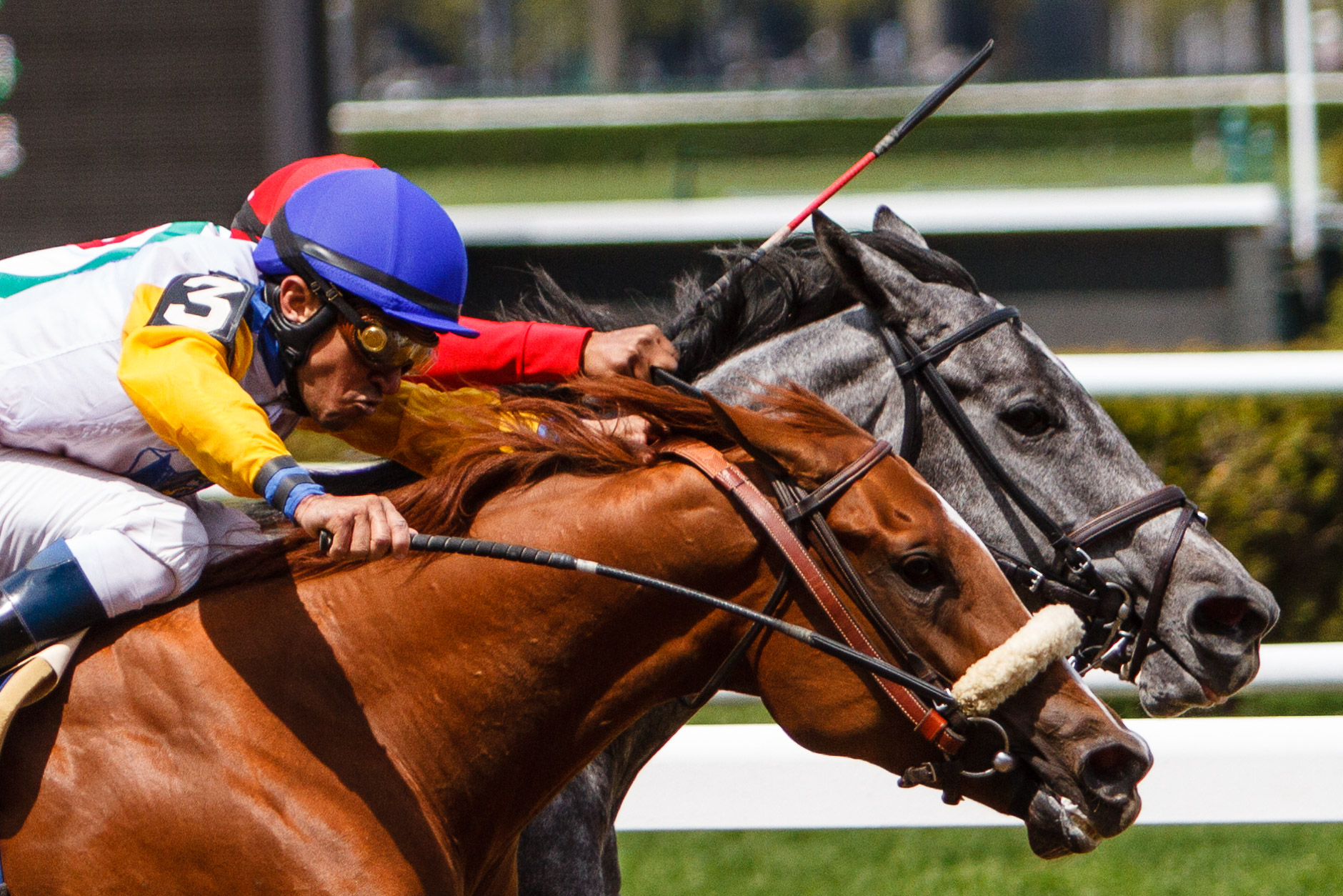 A Day at the Races – joshmadison.com