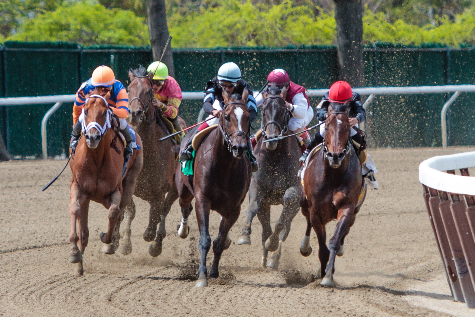 A Day at the Races – joshmadison.com