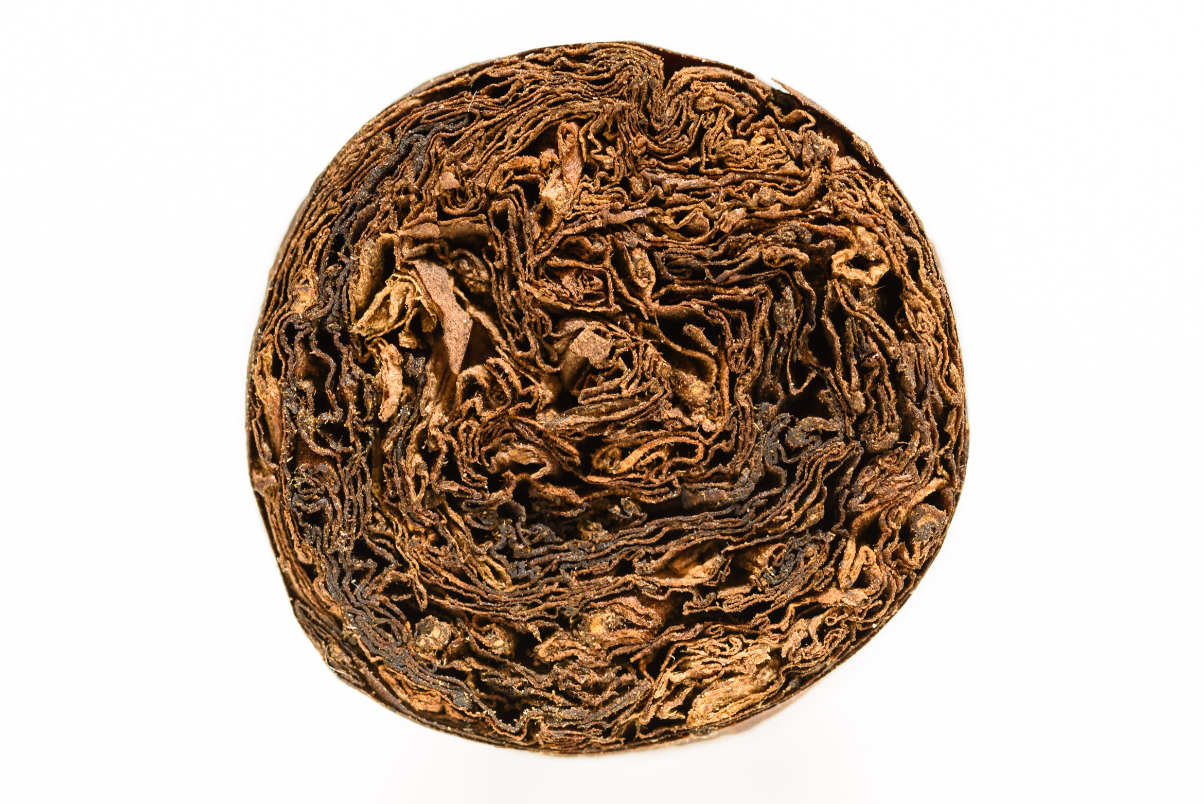 Cigar Feet Part II – joshmadison.com