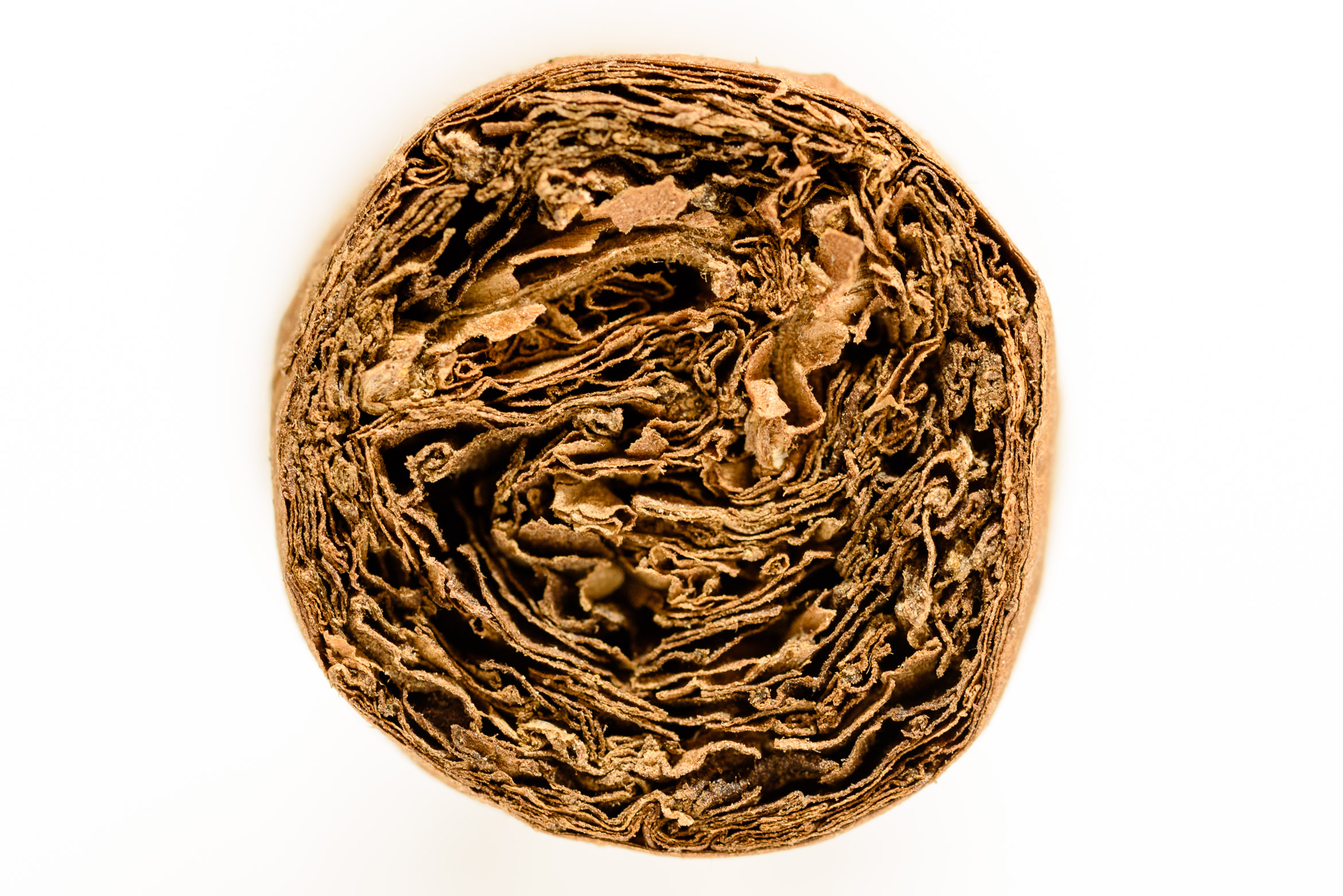 Cigar Feet Part II – joshmadison.com