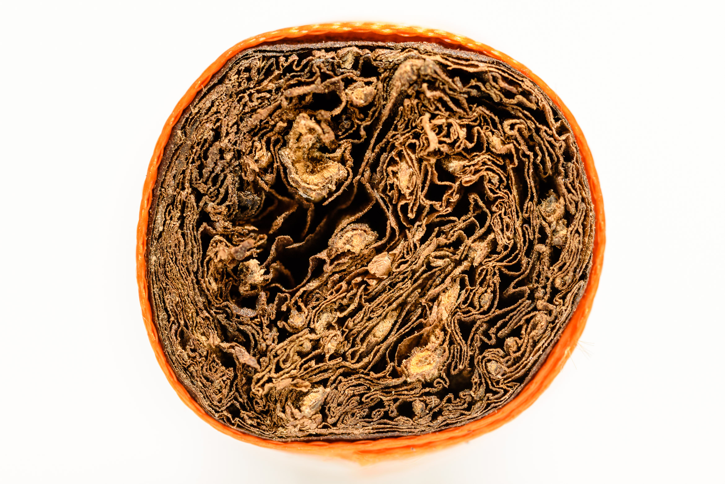 Cigar Feet Part II – joshmadison.com