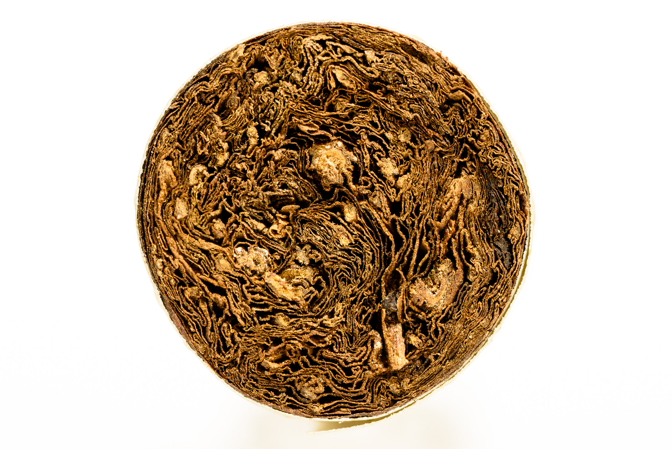 Cigar Feet Part II – joshmadison.com